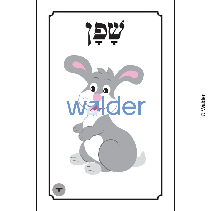 Shafan (Rabbit) Reader - Walder Education