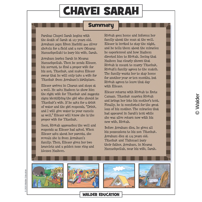 Weekly Parsha Guide: Chayei Sarah - Walder Education