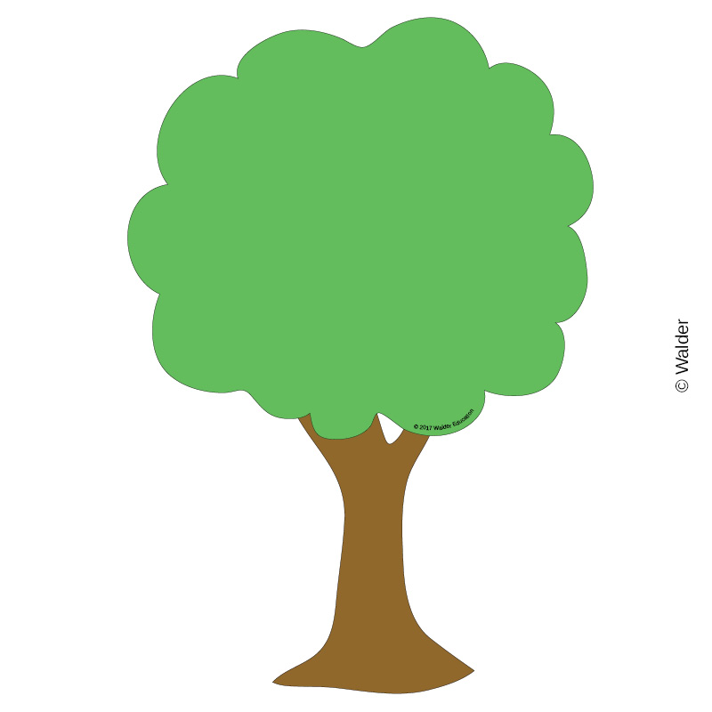 Tree - Walder Education