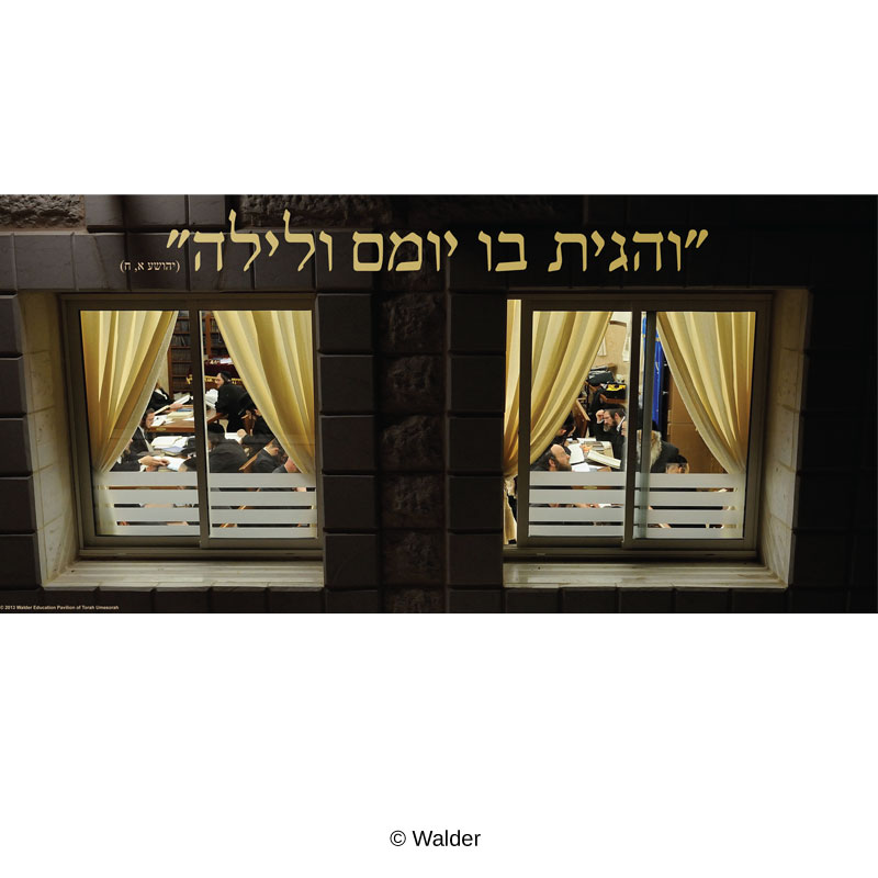 Learning Torah - Walder Education