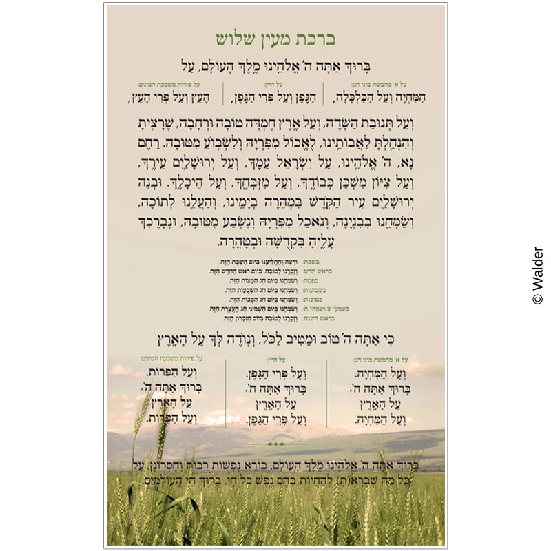 Brachah Meein Shalosh - Walder Education