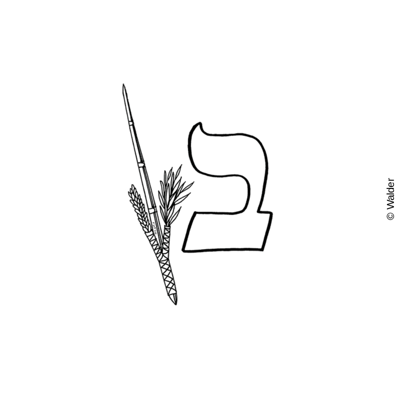 Veis - Walder Education