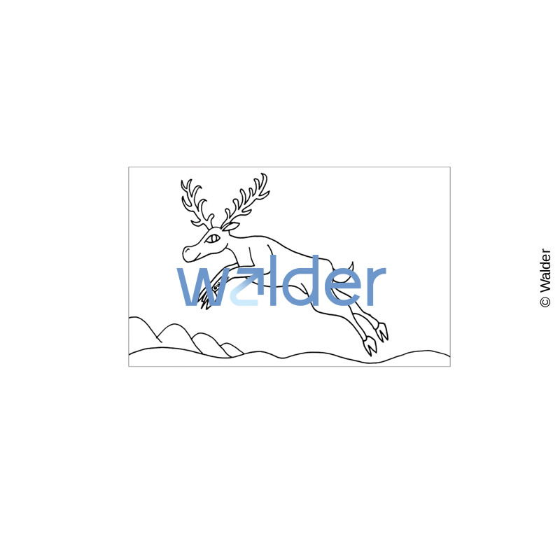 Deer - Walder Education