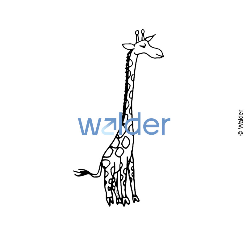 Giraffe - Walder Education