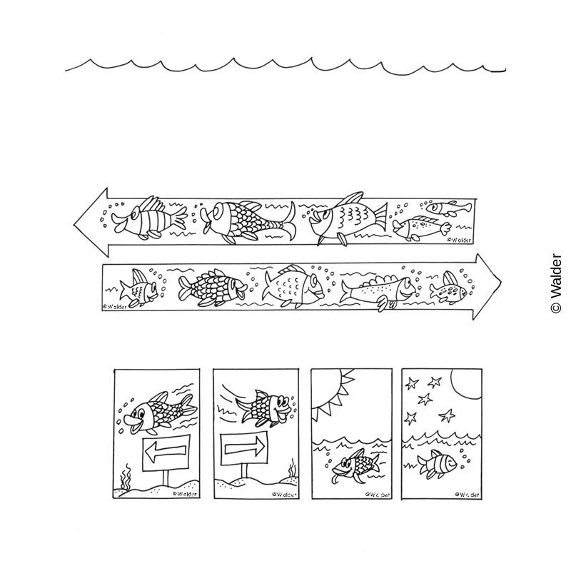 Fish Arrows - Walder Education