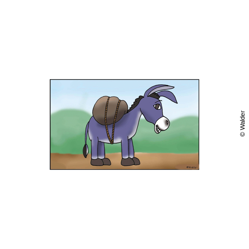 Donkey - Walder Education