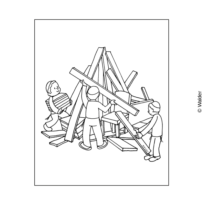 Building a Bonfire - Walder Education