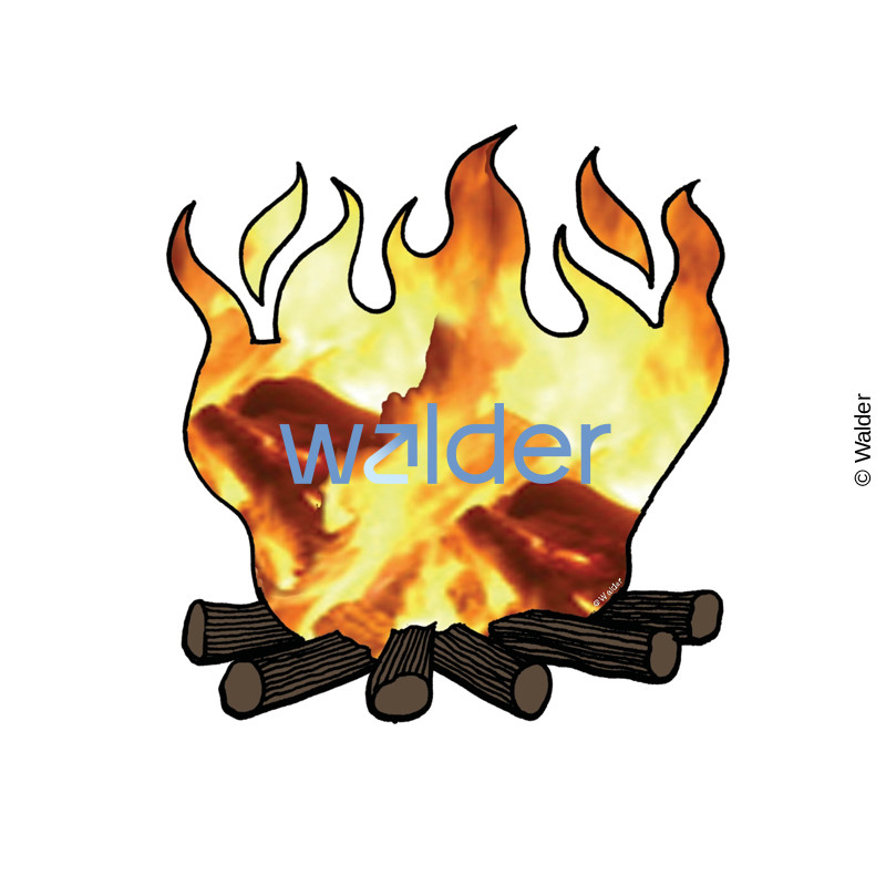 Bonfire - Walder Education