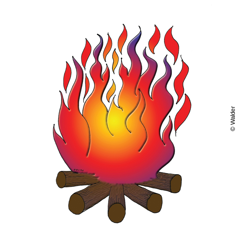 Bonfire - Walder Education