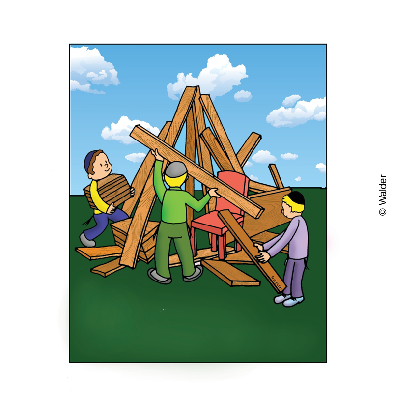 Building a Bonfire - Walder Education