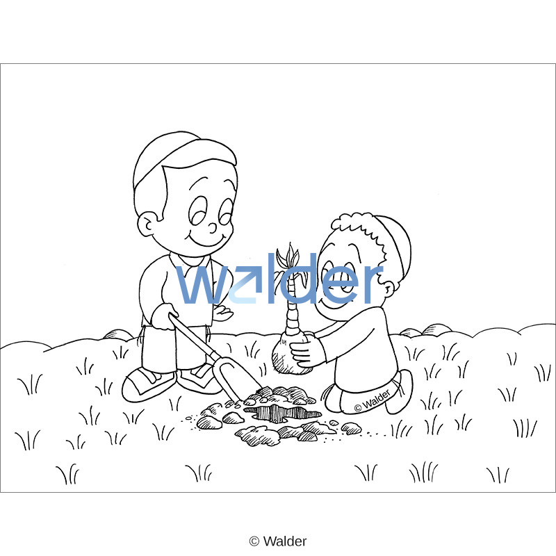 Planting a Tree - Walder Education