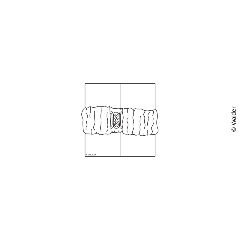 Torah Gartel - Walder Education