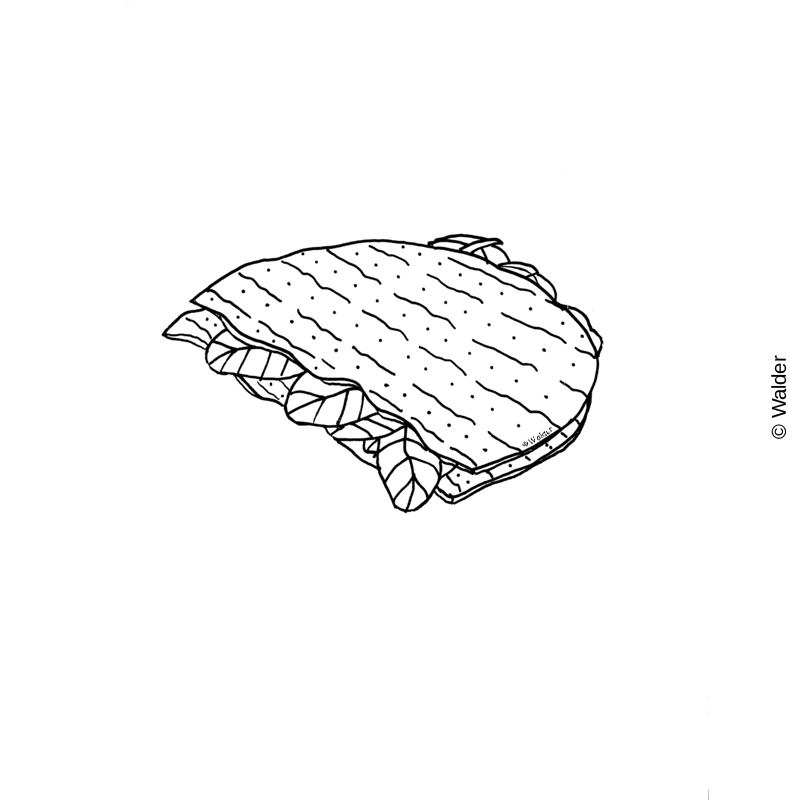 Order of the Seder: Korech - Walder Education