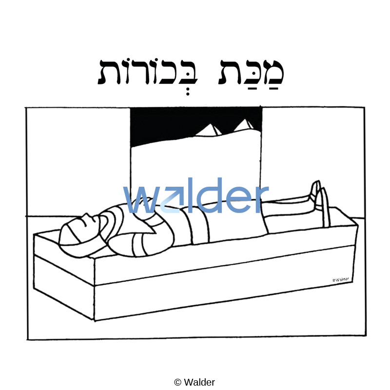 Ten Plagues: Death of Firstborn - Walder Education