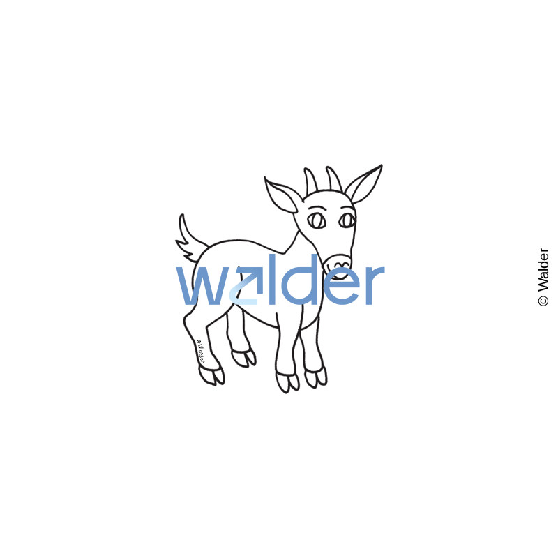 Chad Gadya - Walder Education