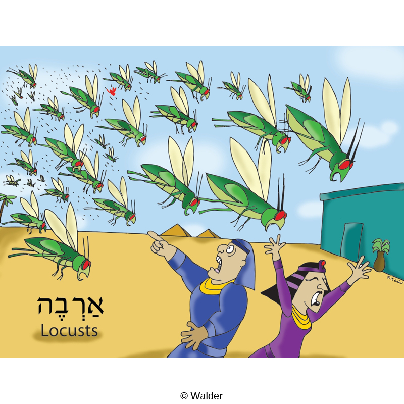 Ten Plagues: Locusts - Walder Education