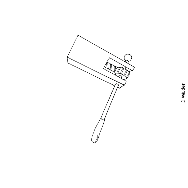 Gragger - Walder Education