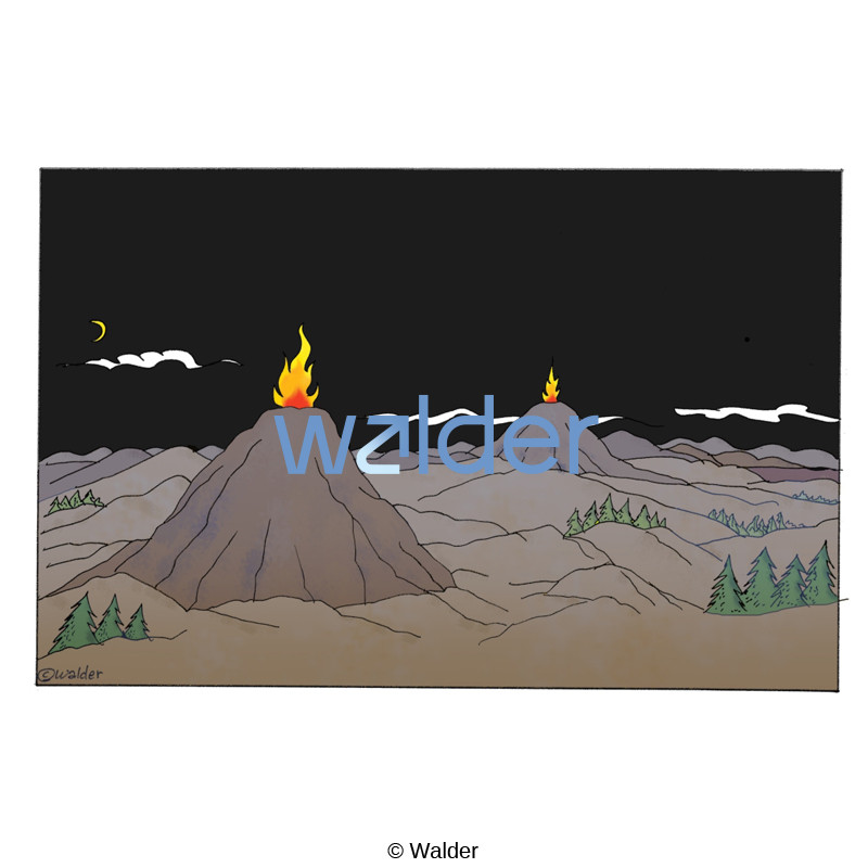 Signal Fires - Walder Education