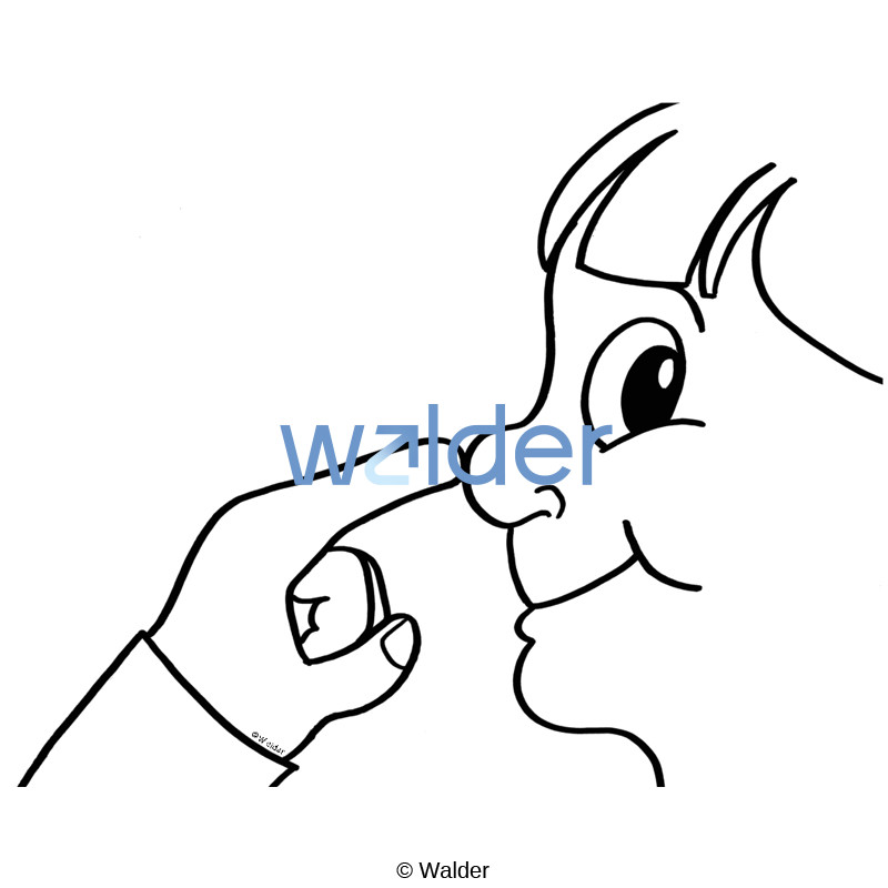 Smell - Walder Education
