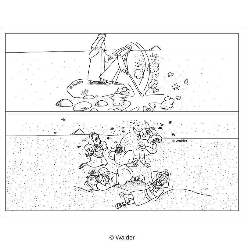 Ten Makkos - Keenim - Walder Education