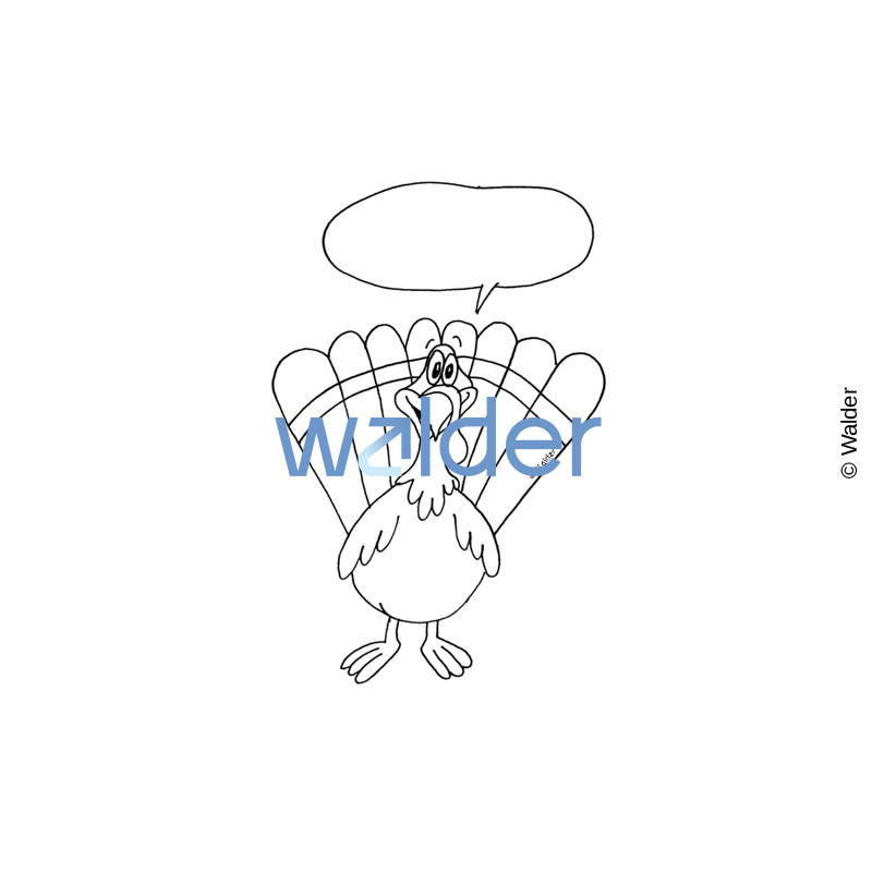 Talking Turkey - Walder Education