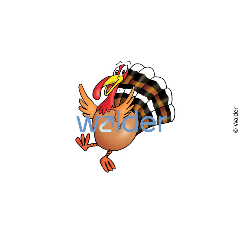 Dancing Turkey - Walder Education