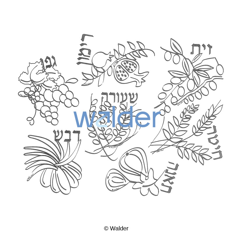Shivas Haminim - Walder Education