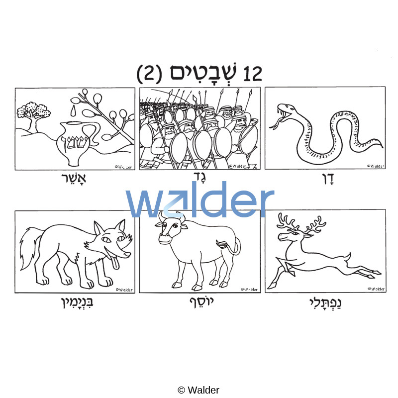 Flags of the Twelve Tribes - Walder Education