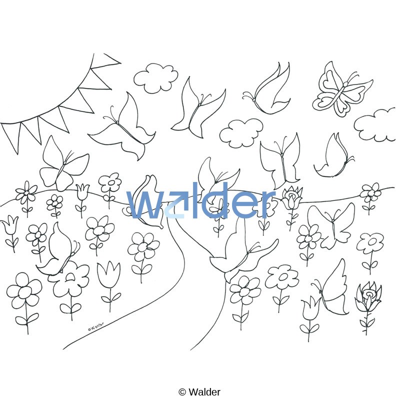 Butterflies and Flowers - Walder Education