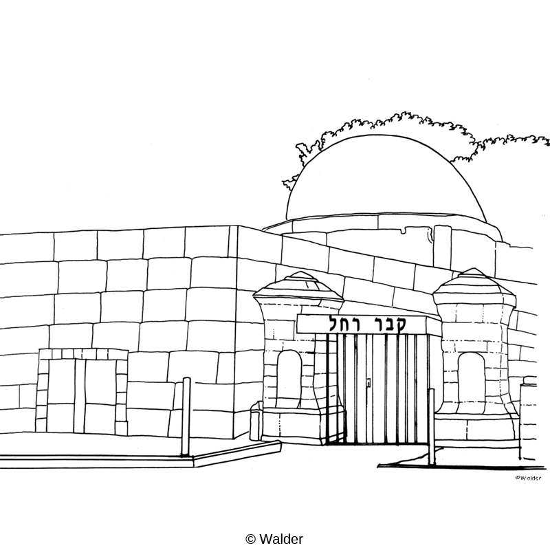 Modern Kever Rachel - Walder Education