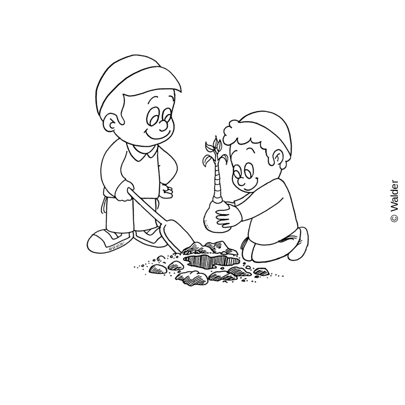 Planting a Tree - Walder Education