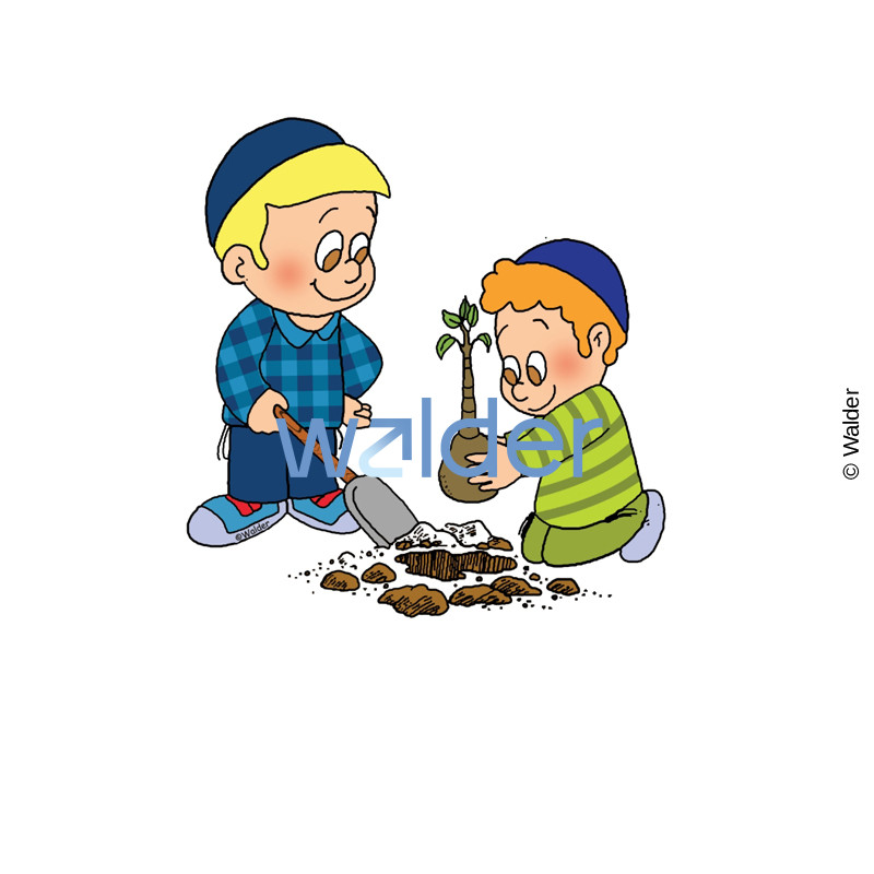 Planting a Tree - Walder Education