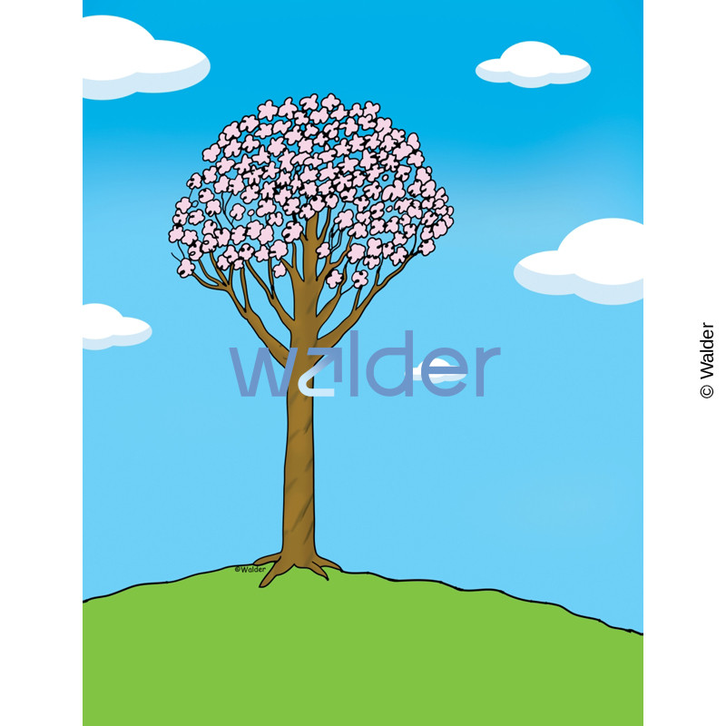 Spring Tree - Walder Education