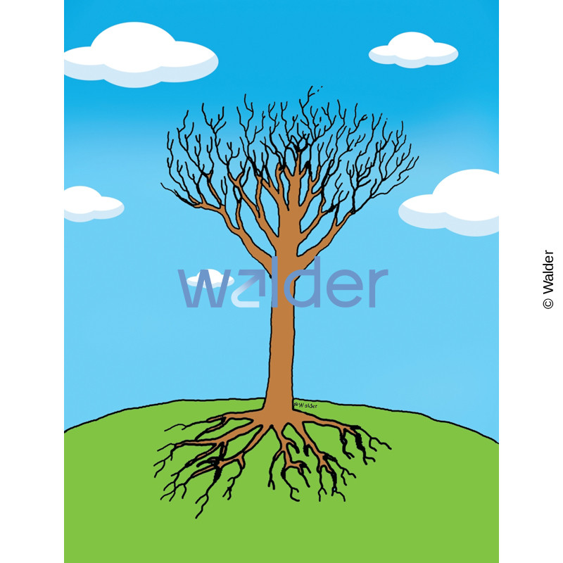 Winter Tree with Roots - Walder Education