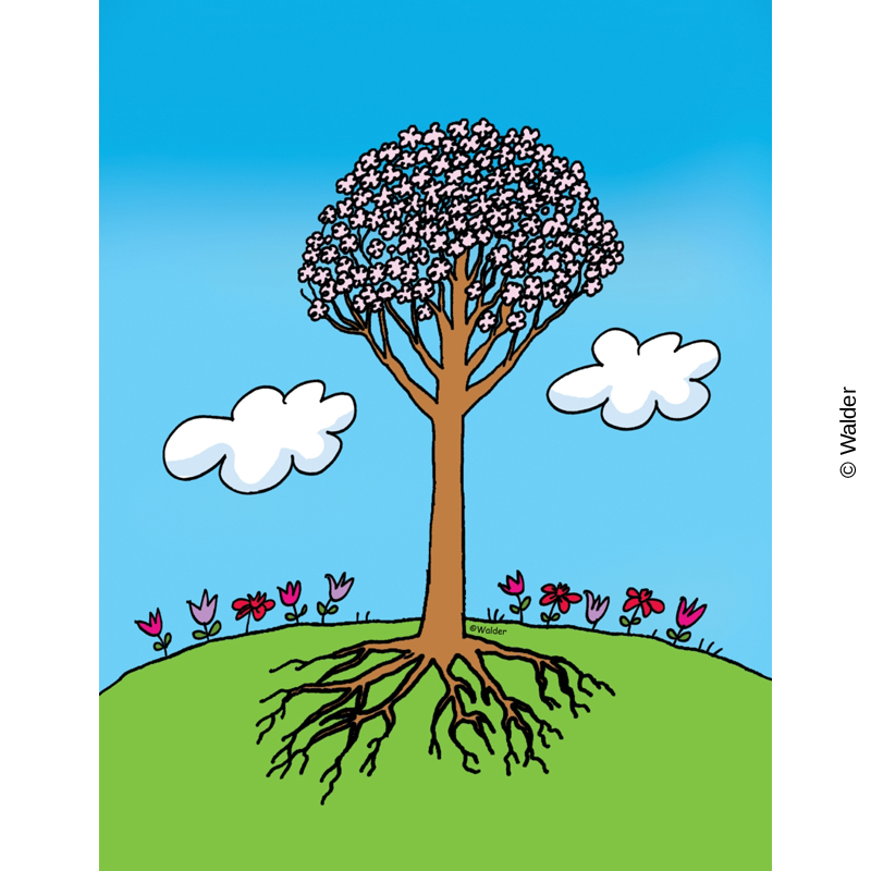 Spring Tree with Roots - Walder Education