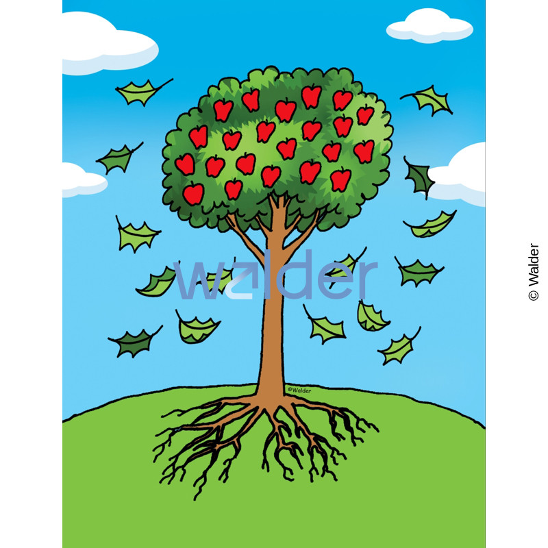 Autumn Tree with Roots - Walder Education