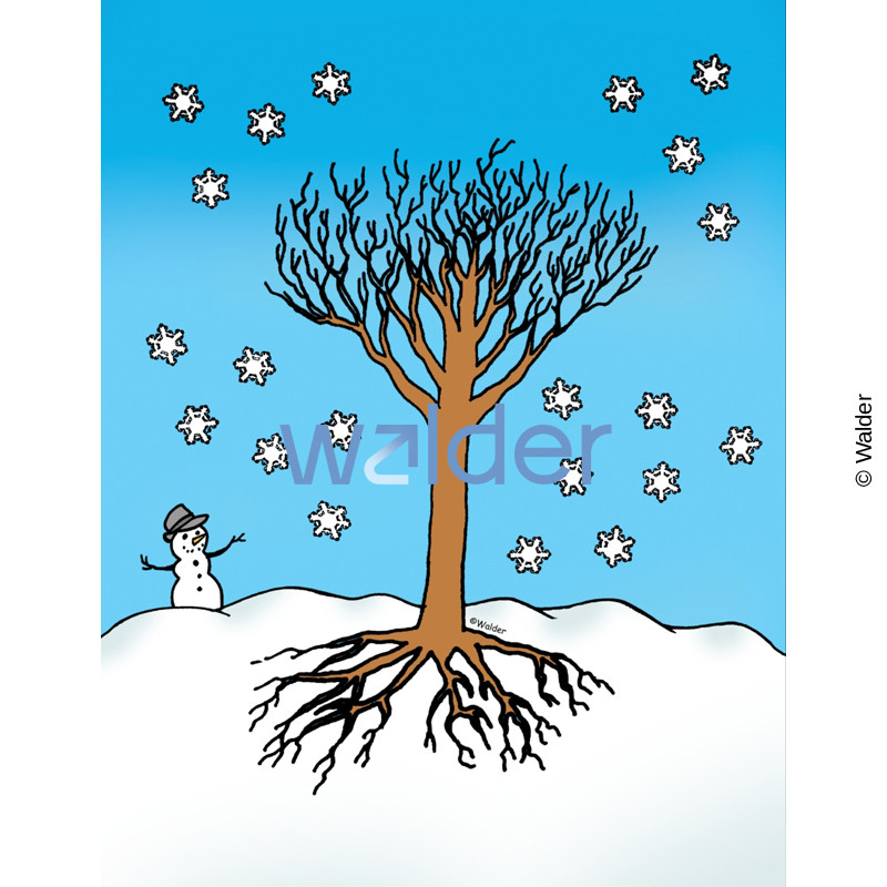 Winter Tree with Roots - Walder Education