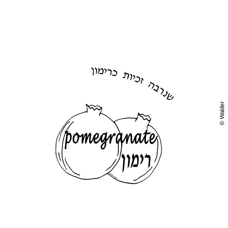 Simanim: Pomegranate - Walder Education