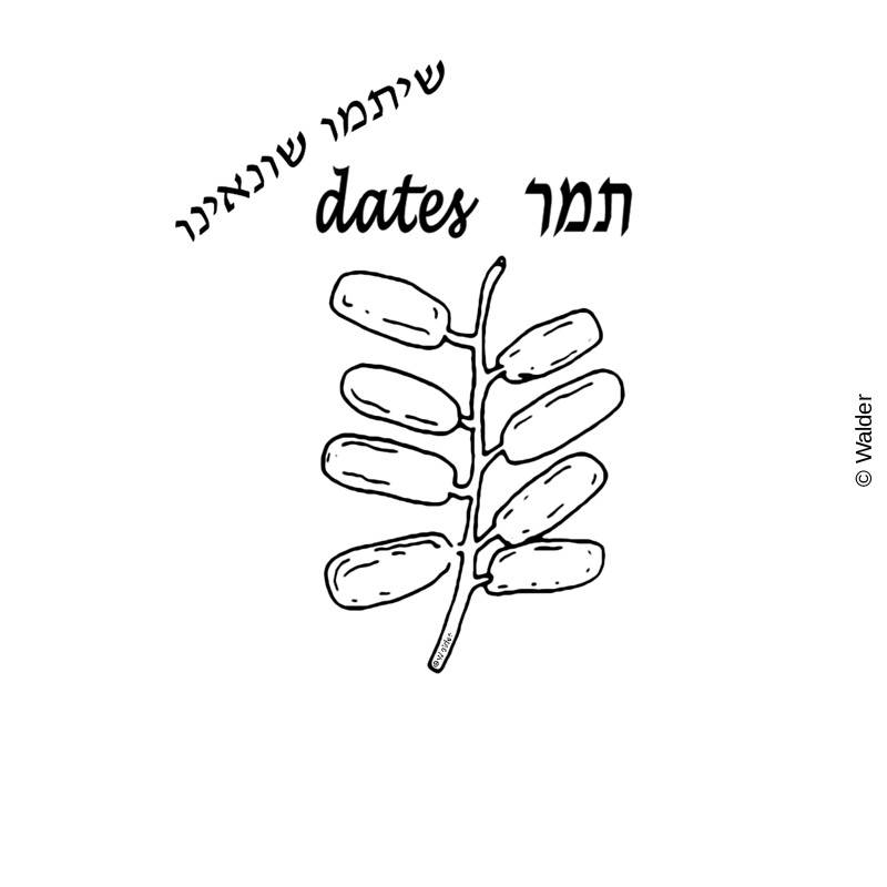 Simanim: Dates - Walder Education