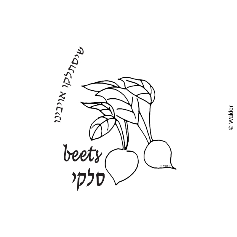 Simanim: Beets - Walder Education