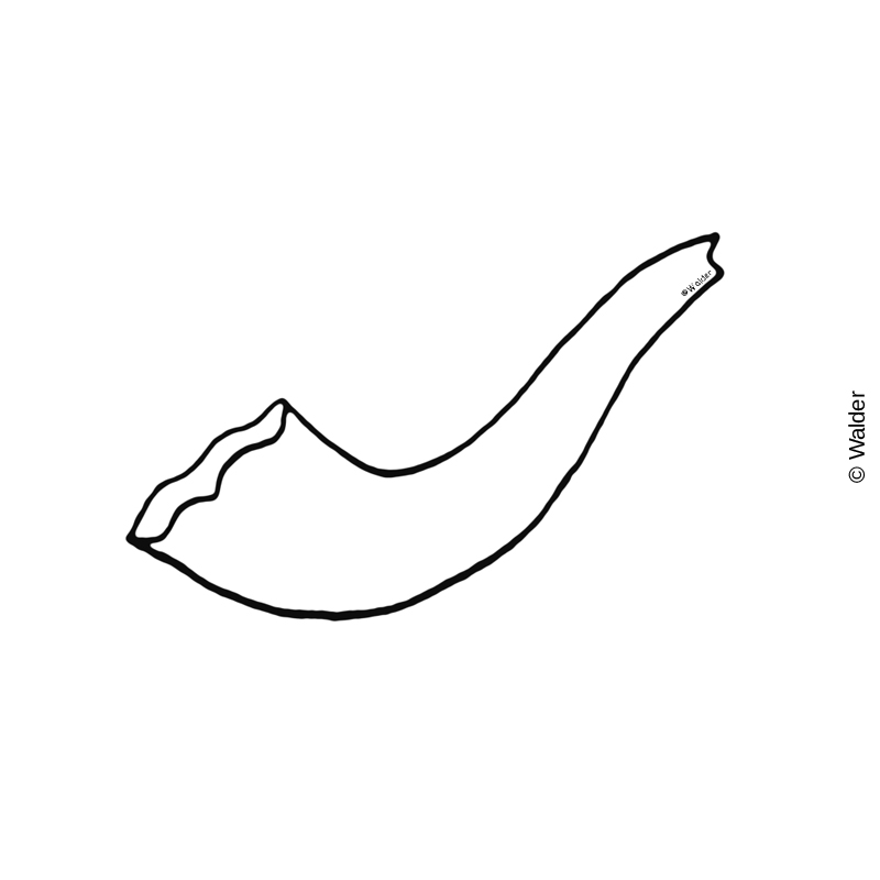 Shofar - Walder Education