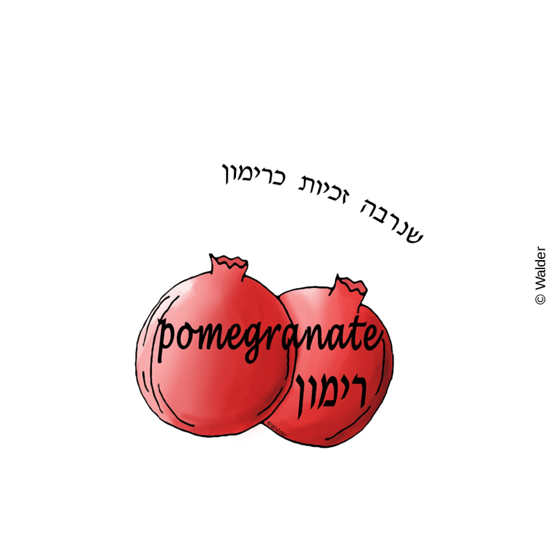 Simanim: Pomegranate - Walder Education