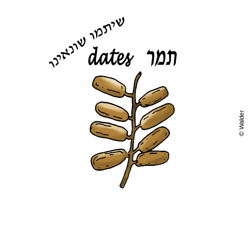 Simanim: Dates - Walder Education