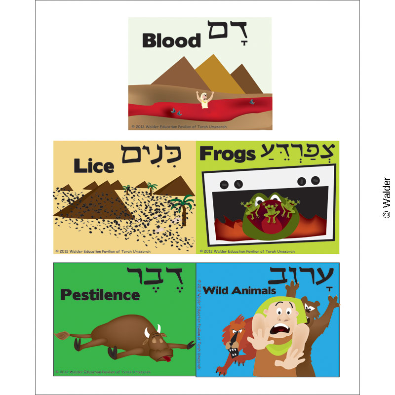 Plague Cards - Walder Education