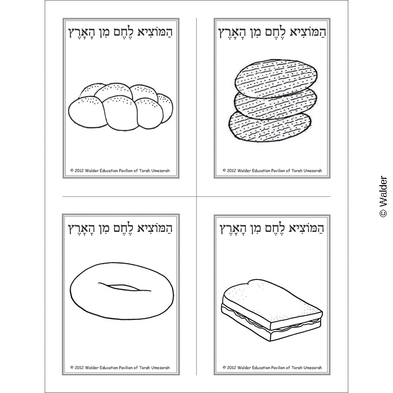 Brachos Go Fish Game - Walder Education