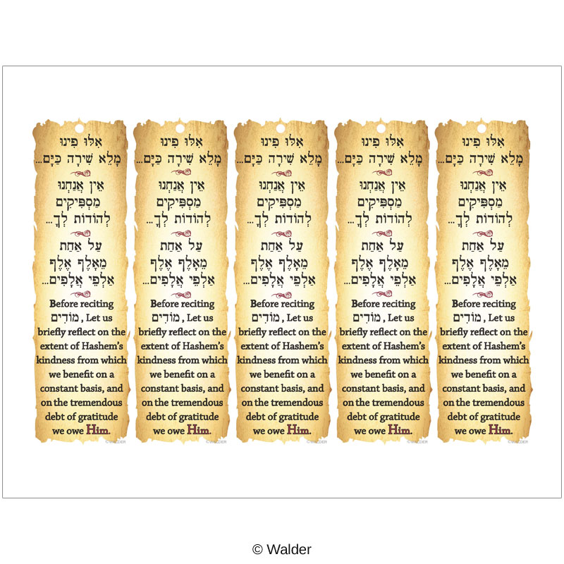 Modim Bookmark - Walder Education