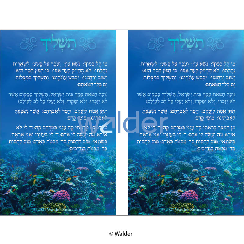 Tashlich - Walder Education