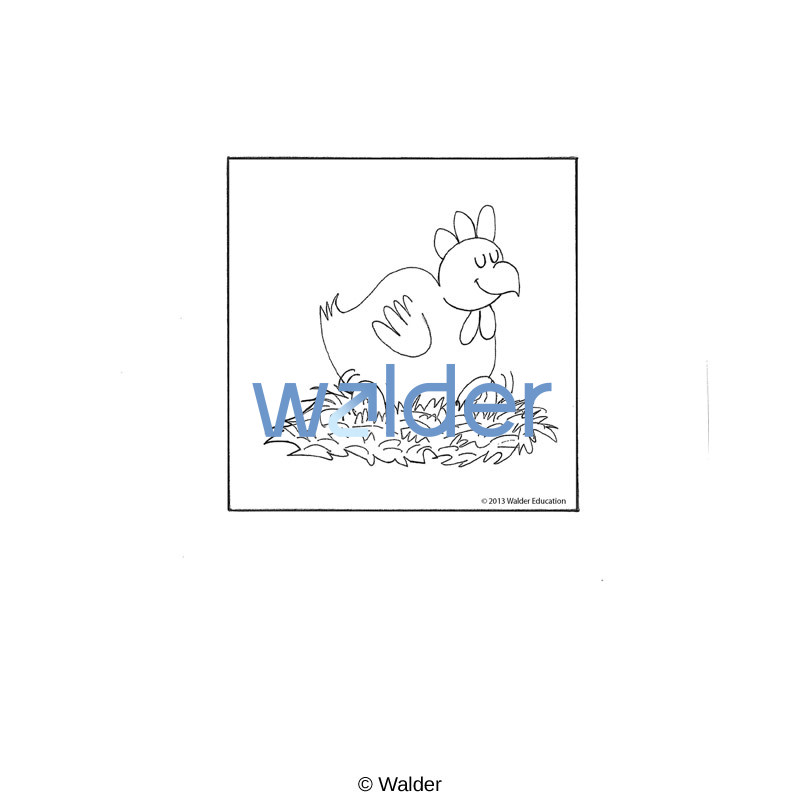 Training to Sequence: Egg to Chicken - Walder Education