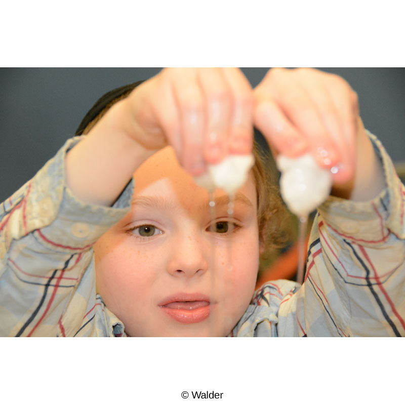 Teaching the Water Cycle in Parashas Noach - Walder Education