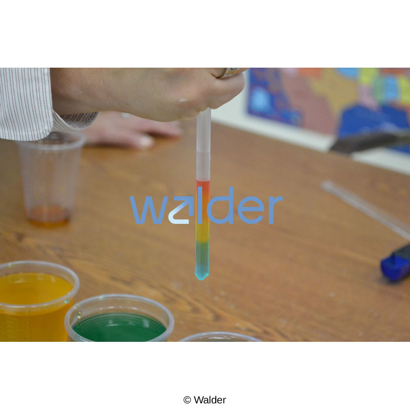 Rainbow in a Straw for Parashas Noach - Walder Education